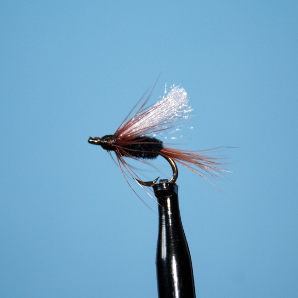 Pass Lake Wet Fly – Casting Around