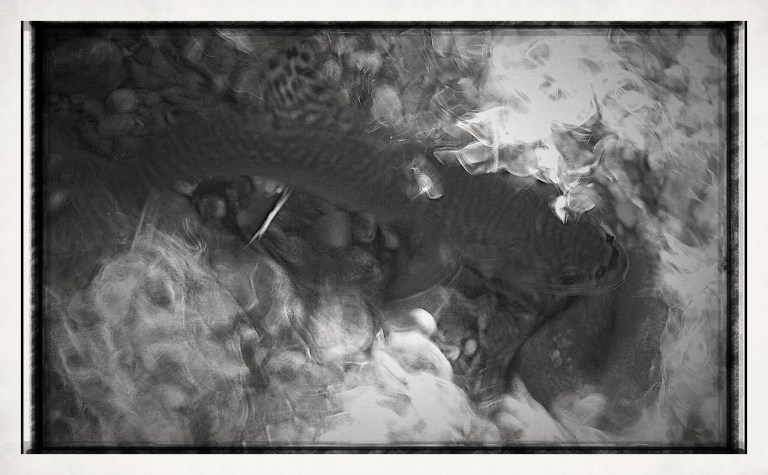 Daily Fly Fishing Poem #18: The Early Magic of Water – Casting Around