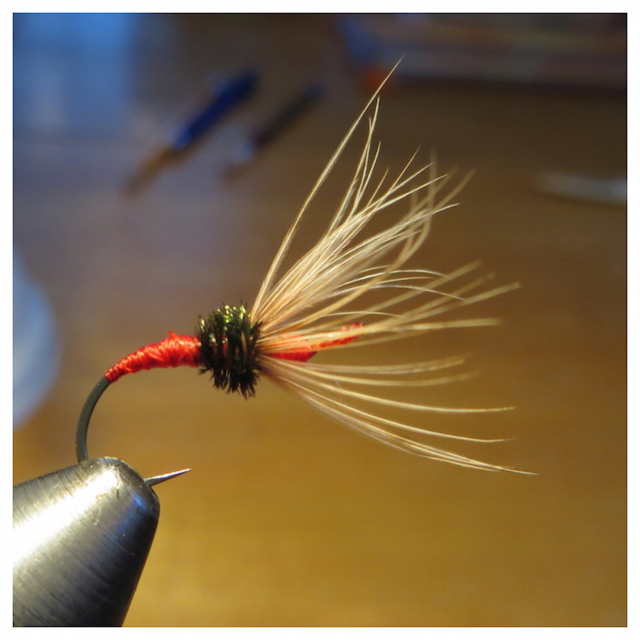 The Magic Shrinking Hackle – Casting Around